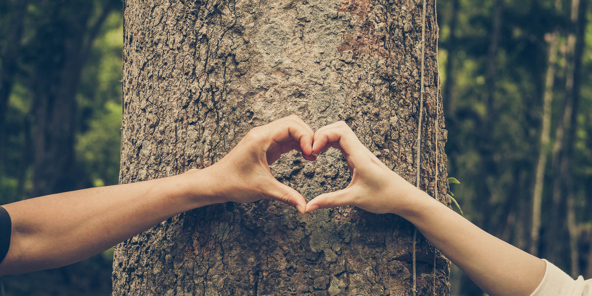 How To Love The Environment More In 2022 — Ora Health