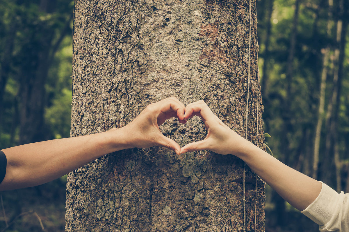 How To Love The Environment More In 2022 — Ora Health